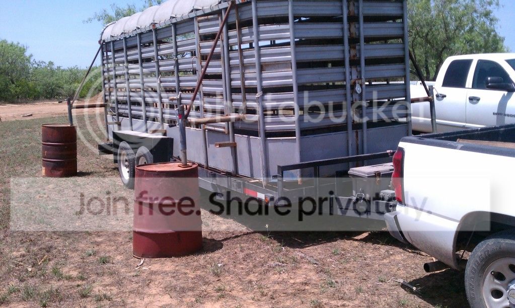 Cattle insert | CattleToday.com - Cattle, Cow & Ranching Community