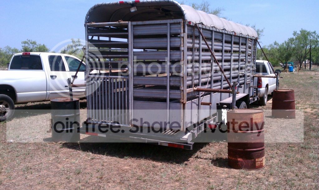 Cattle insert | CattleToday.com - Cattle, Cow & Ranching Community
